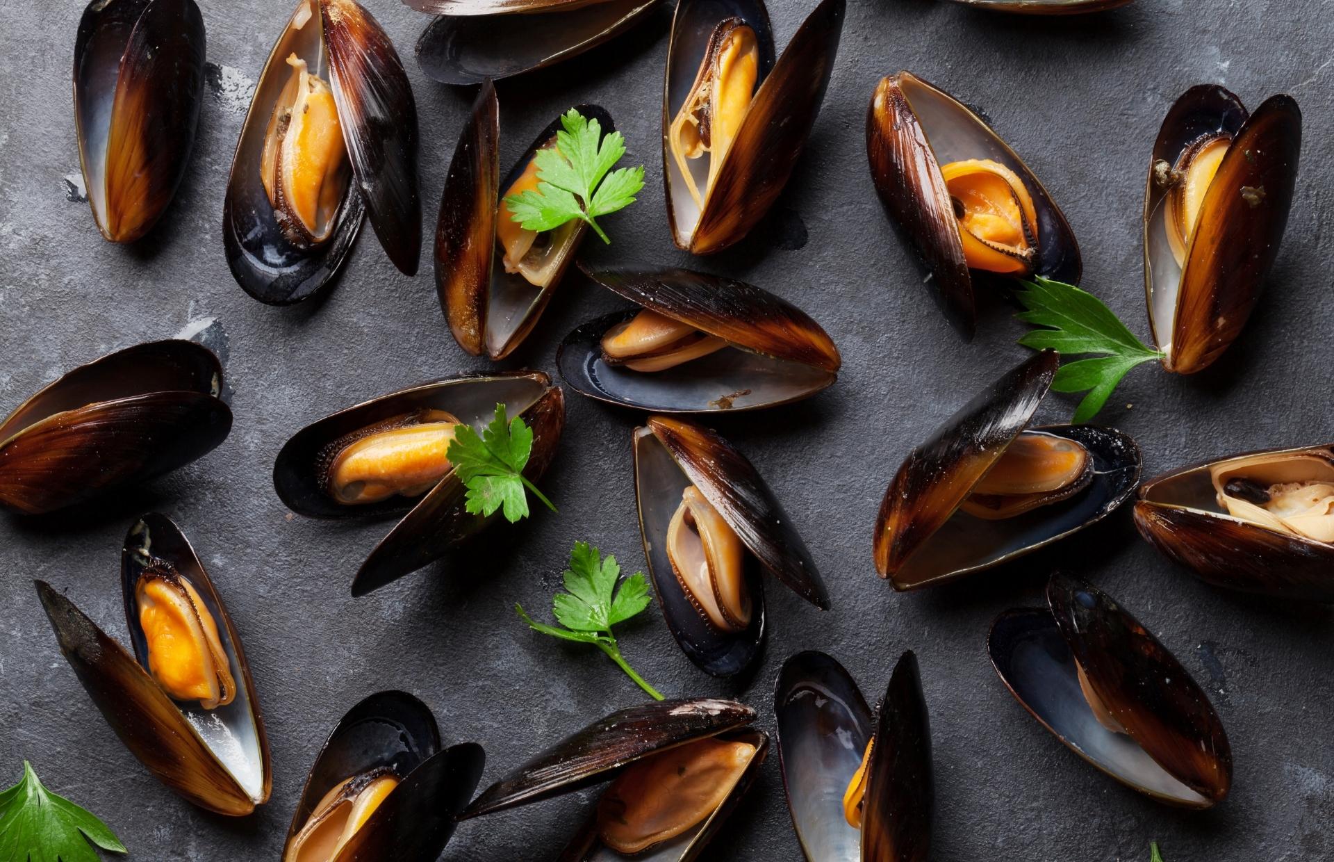 Premium Shellfish - Jagota